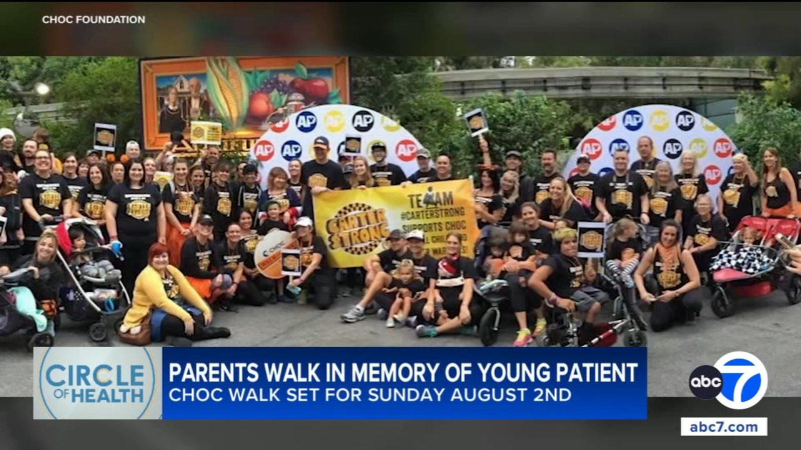 2026 CHOC Walk: Fountain Valley boy's dreams of becoming future cancer ...