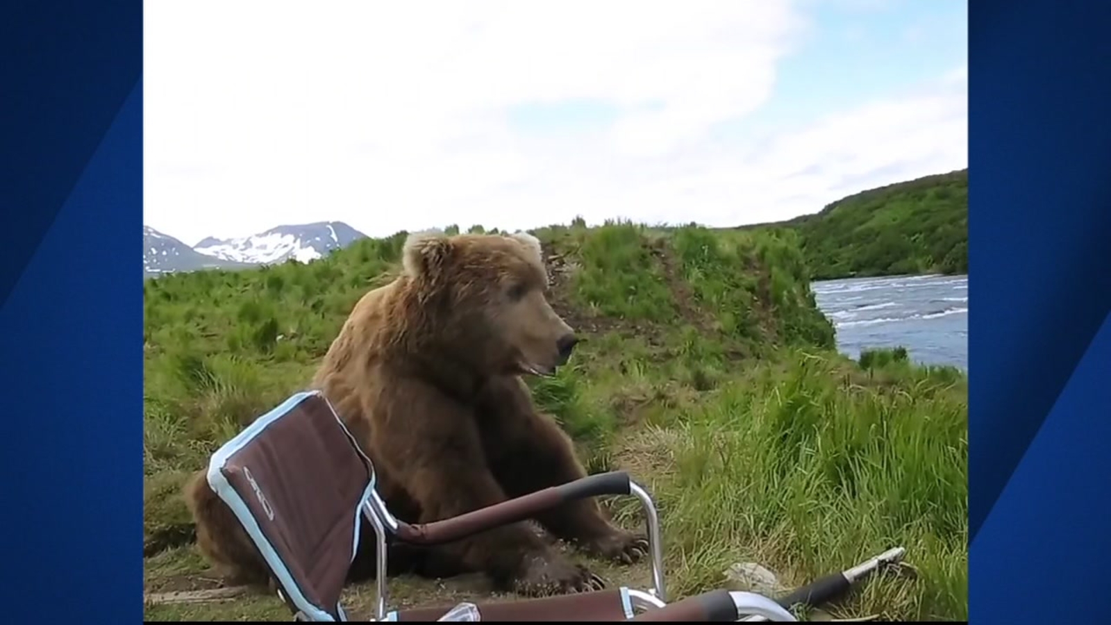 VIDEO: Bear chills with photographer in Alaska - ABC7 San Francisco
