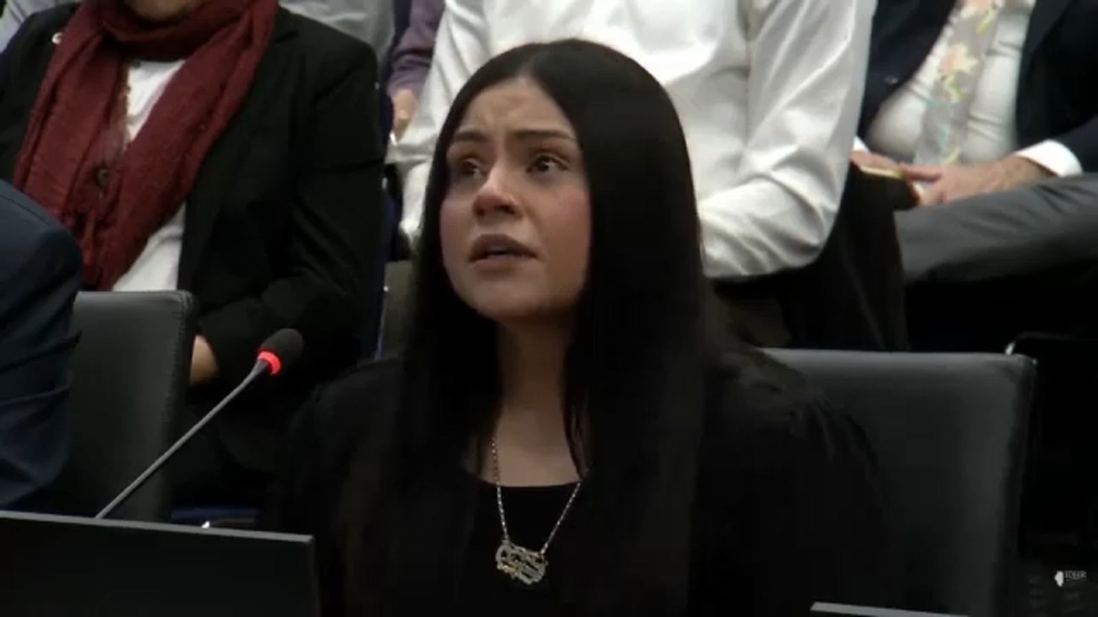 Border Patrol and ICE in Chicago: Marimar Martinez testifies on 2nd day ...