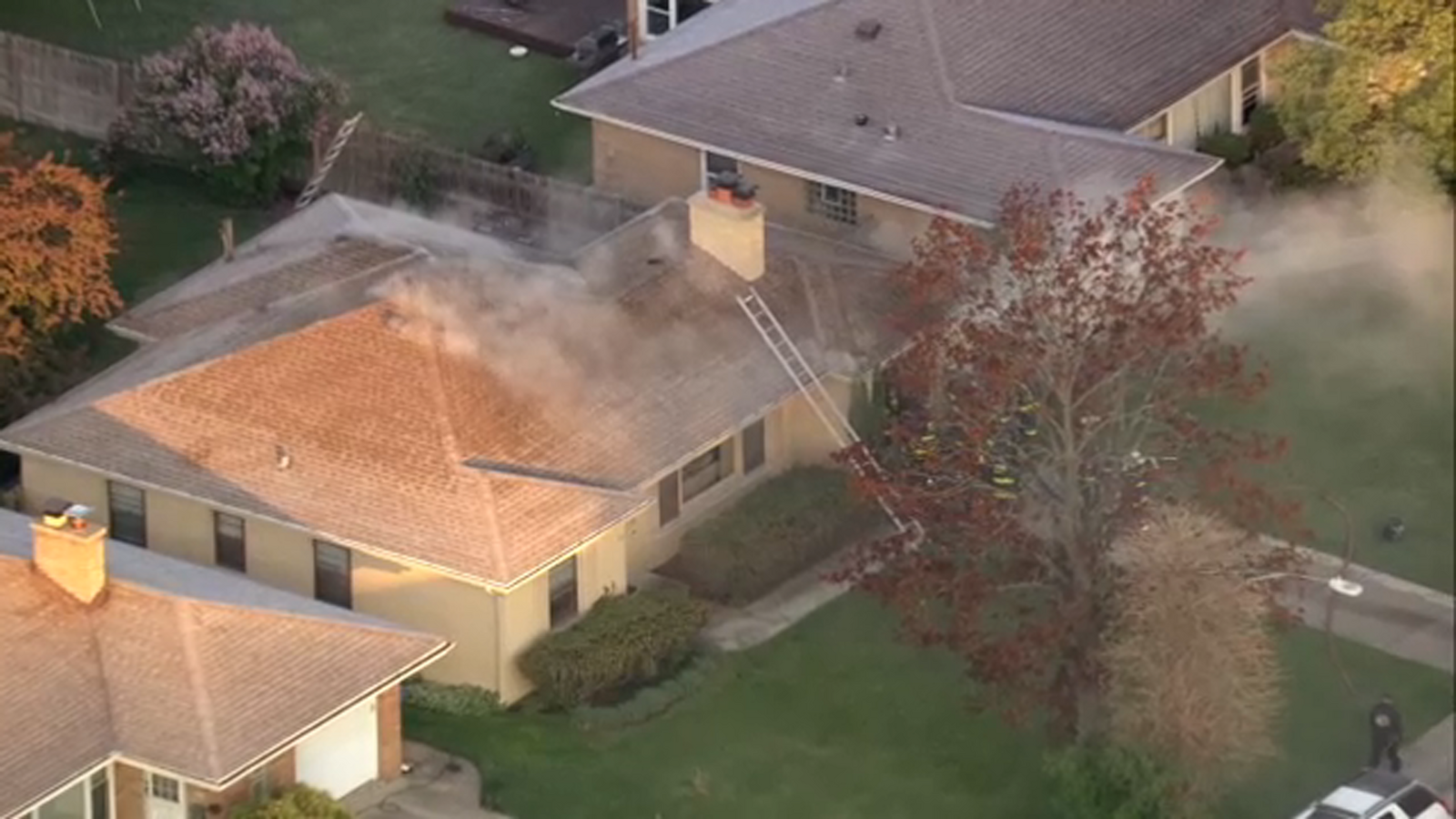 Chicago fire today: Robert Atkinson, dog die in house fire on Louise ...