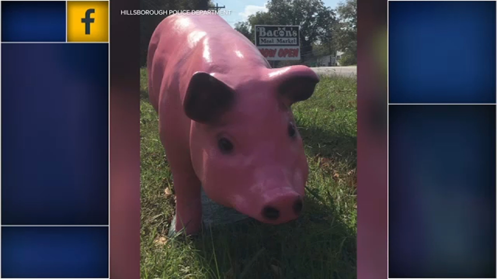 Sir Hamalot | Hillsborough Police still looking for beloved concrete ...