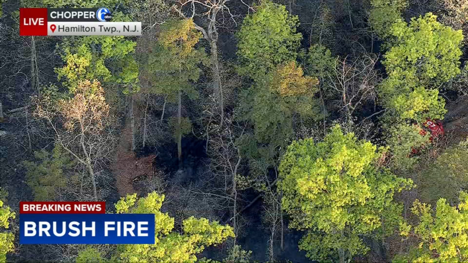 Firefighters respond to brush fire near McCall Avenue and Jackson Road ...