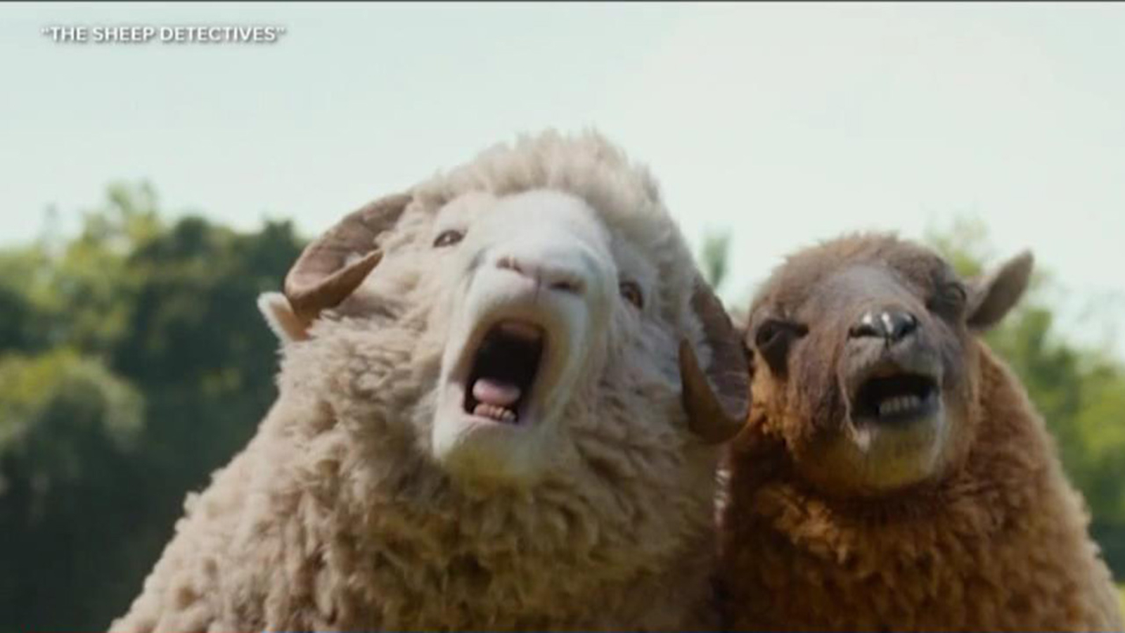 'The Sheep Detectives': Hugh Jackman, Regina Hall, Bryan Cranston ...