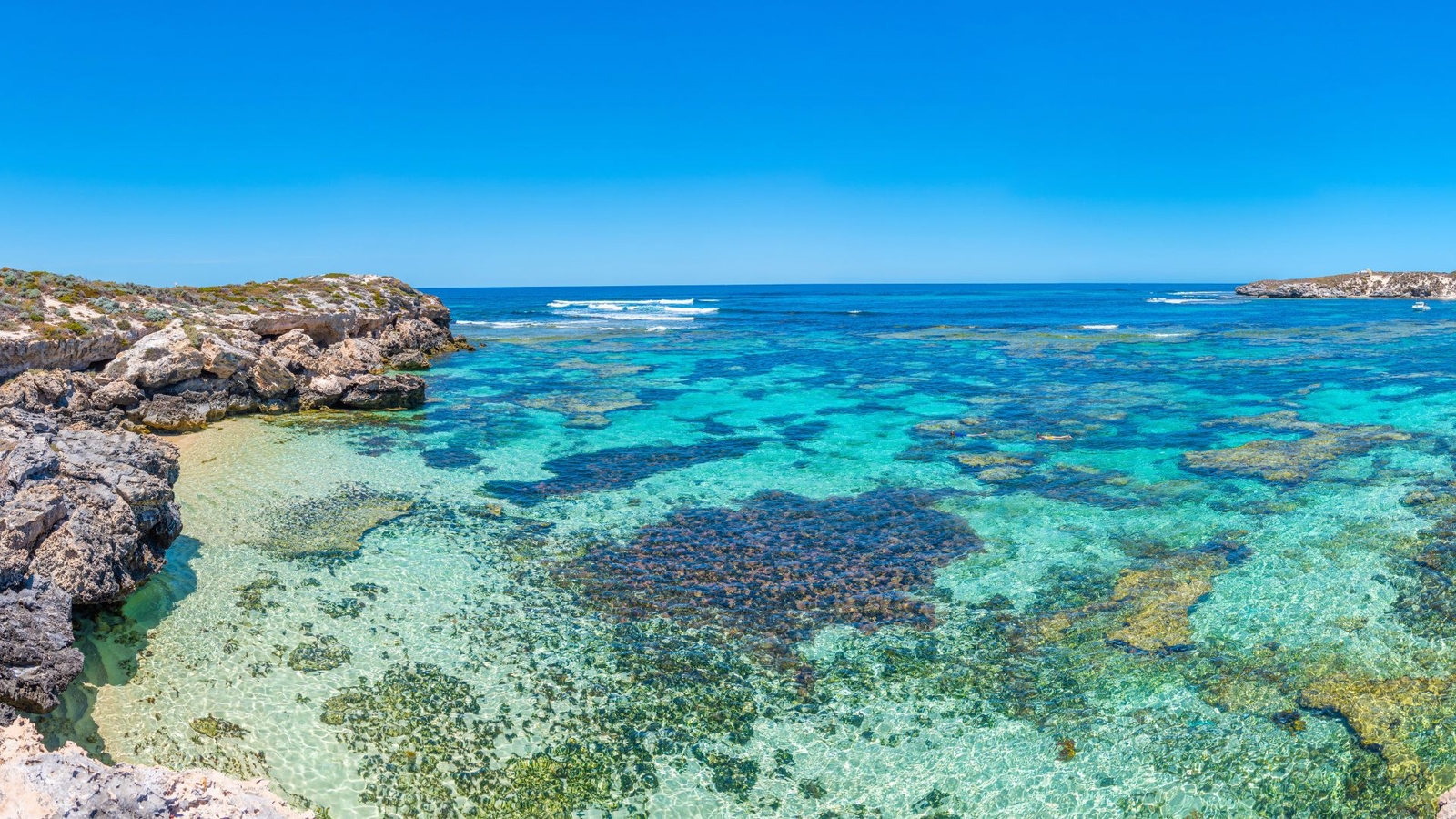 16-foot shark fatally mauls diver off Australia's Rottnest Island ...