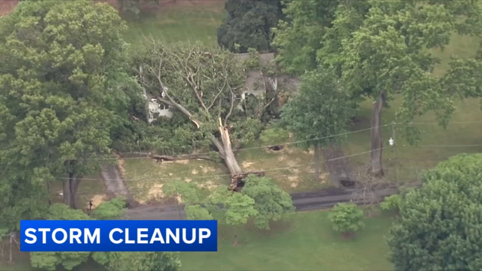 Severe storm downs trees and power lines in Montgomery County ...
