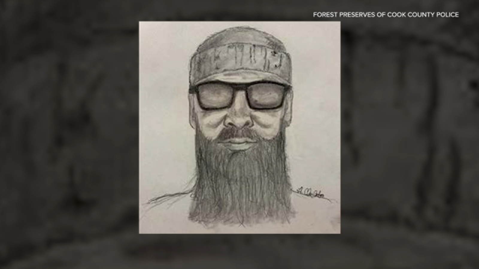 Chicago crime: Sketch shows suspect of sexual assault at LaBagh Woods ...