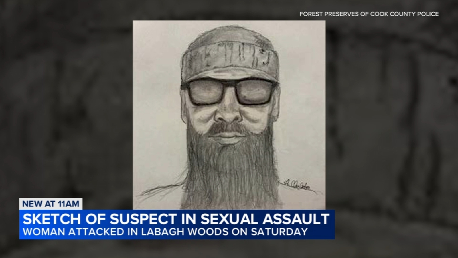 John G. Lang charged in LaBagh Woods sexual assault, aggravated battery ...