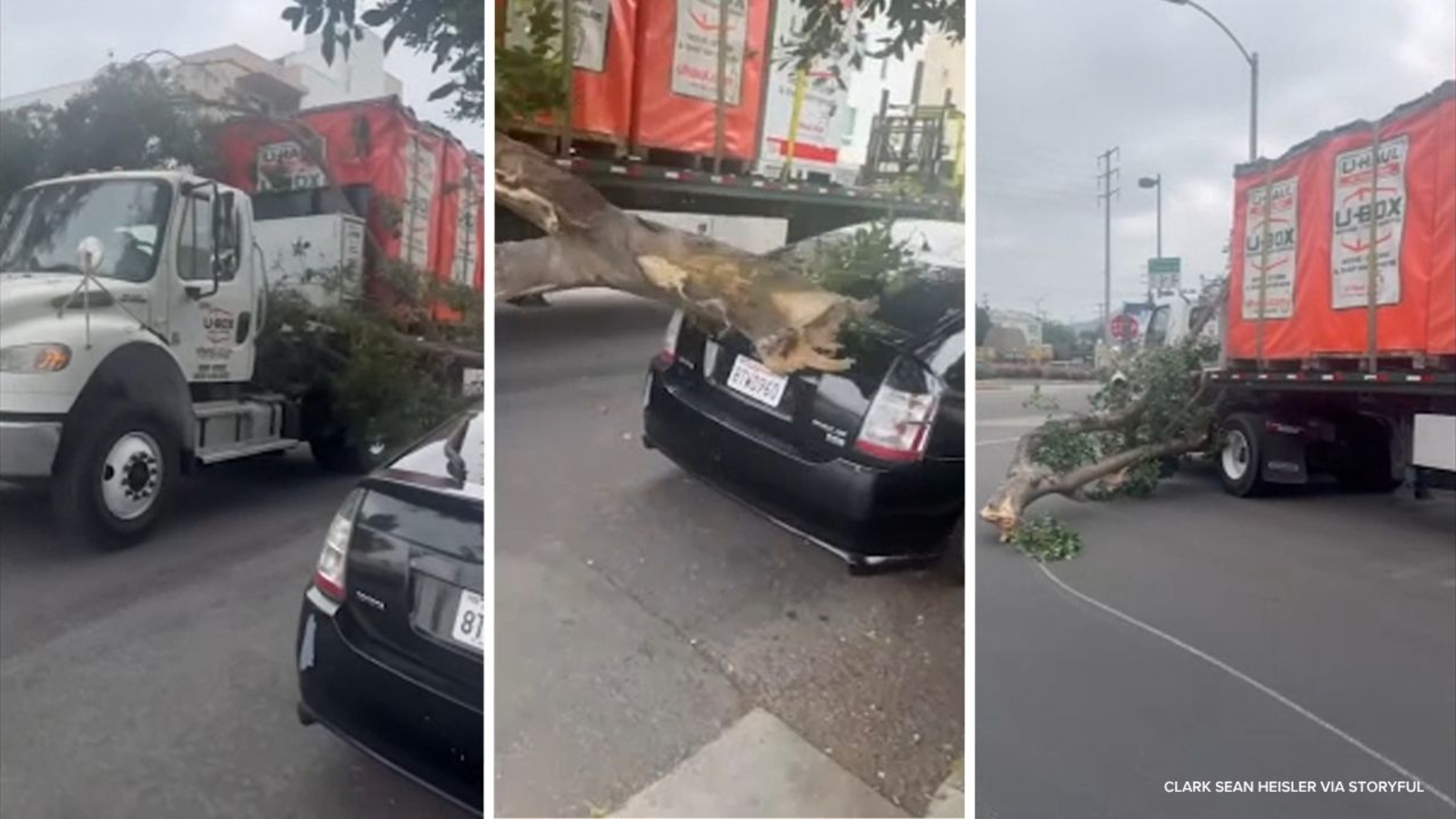 Video shows U-Haul hitting parked cars with stuck tree limb in North ...