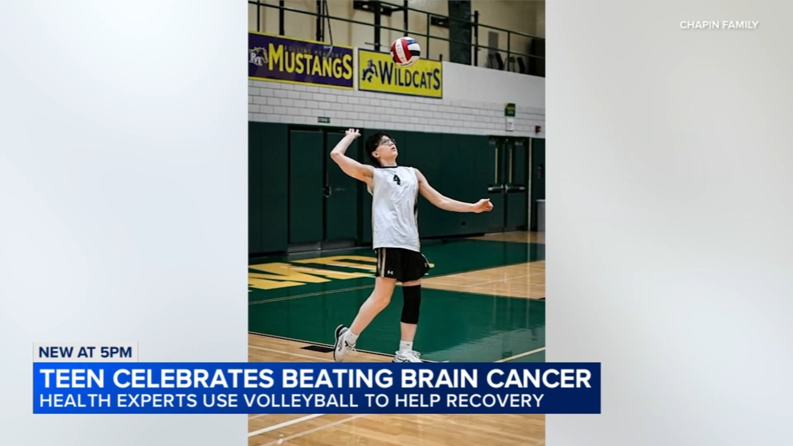 Palatine Fremd High School student recovers from aggressive brain ...
