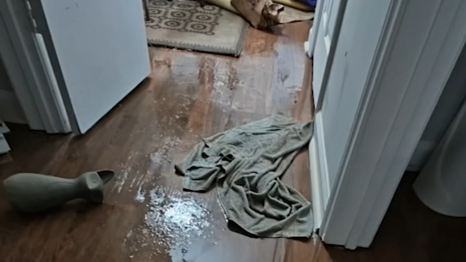 NC flood survivor recalls terrifying escape during Tropical Depression ...