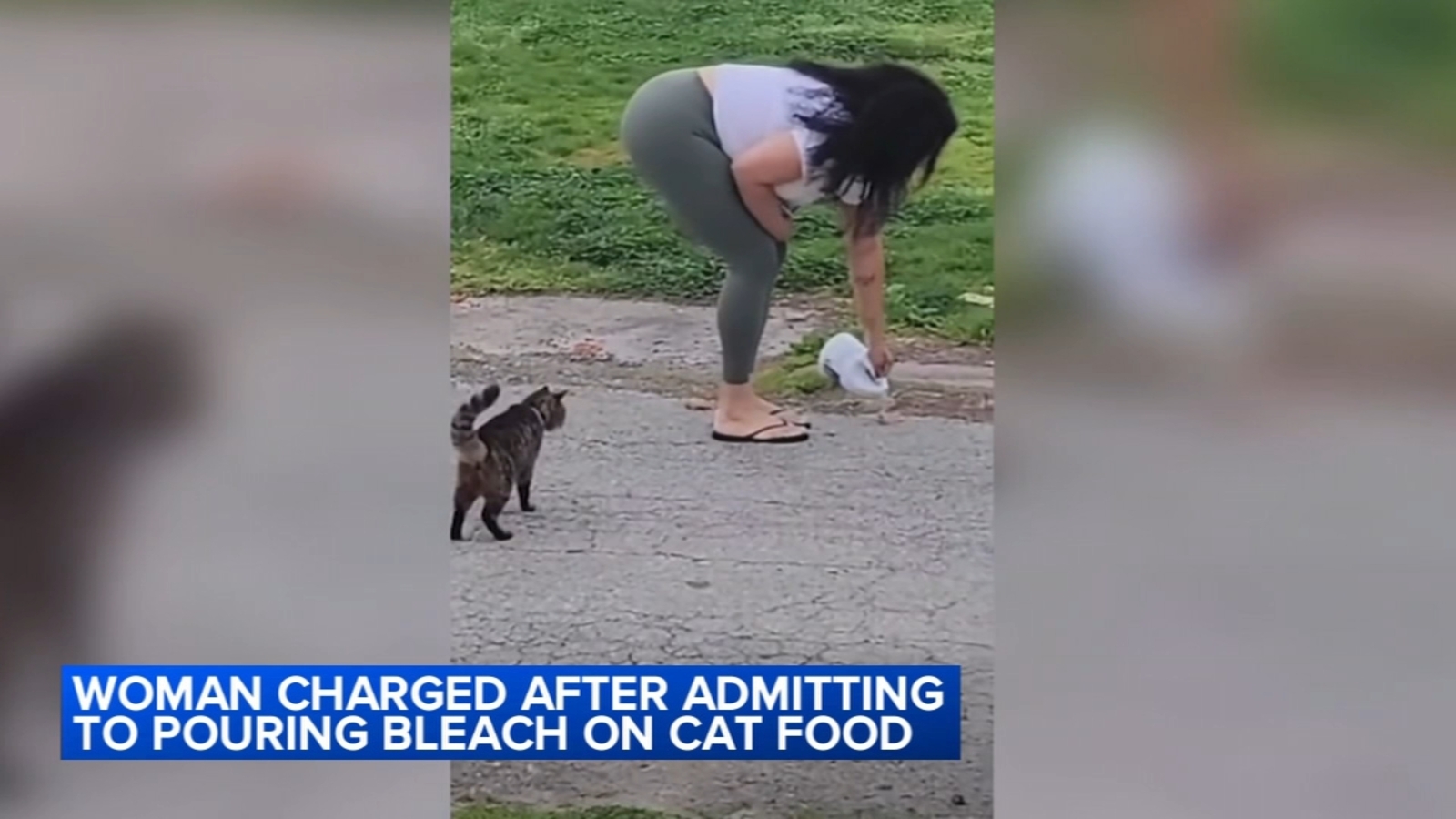 Chester, Pa. woman facing charges after admitting to pouring bleach on ...