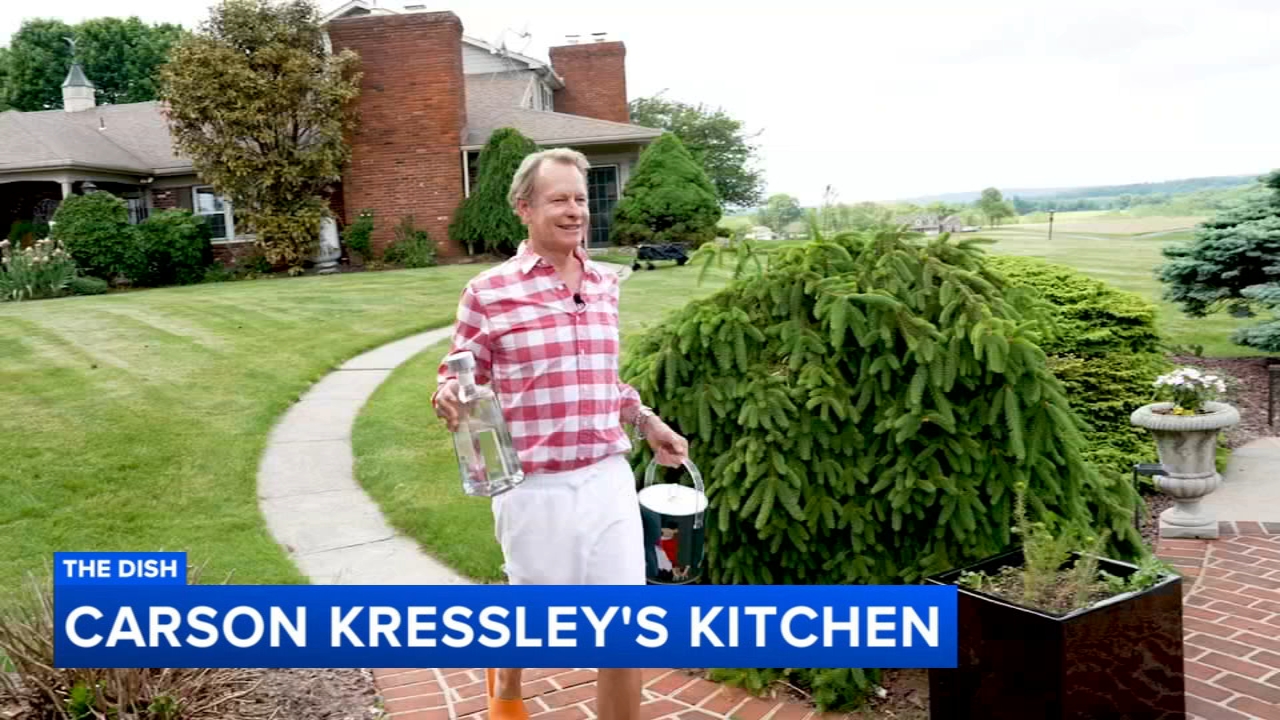 The Dish - 6abc Philadelphia