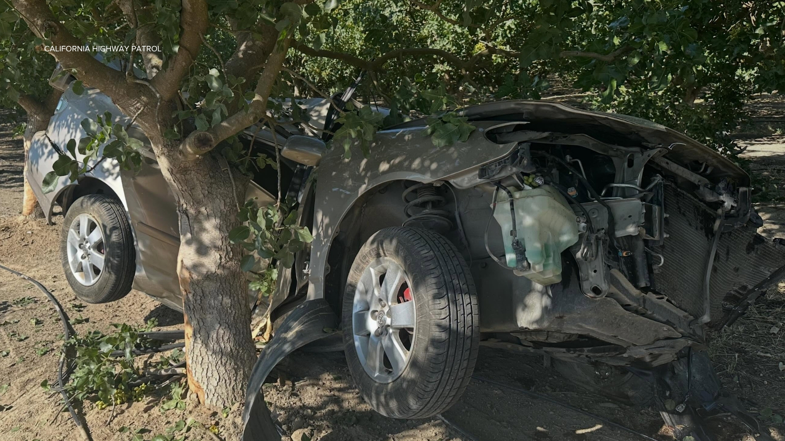 18-year-old hospitalized after crashing into Madera County orchard, CHP ...