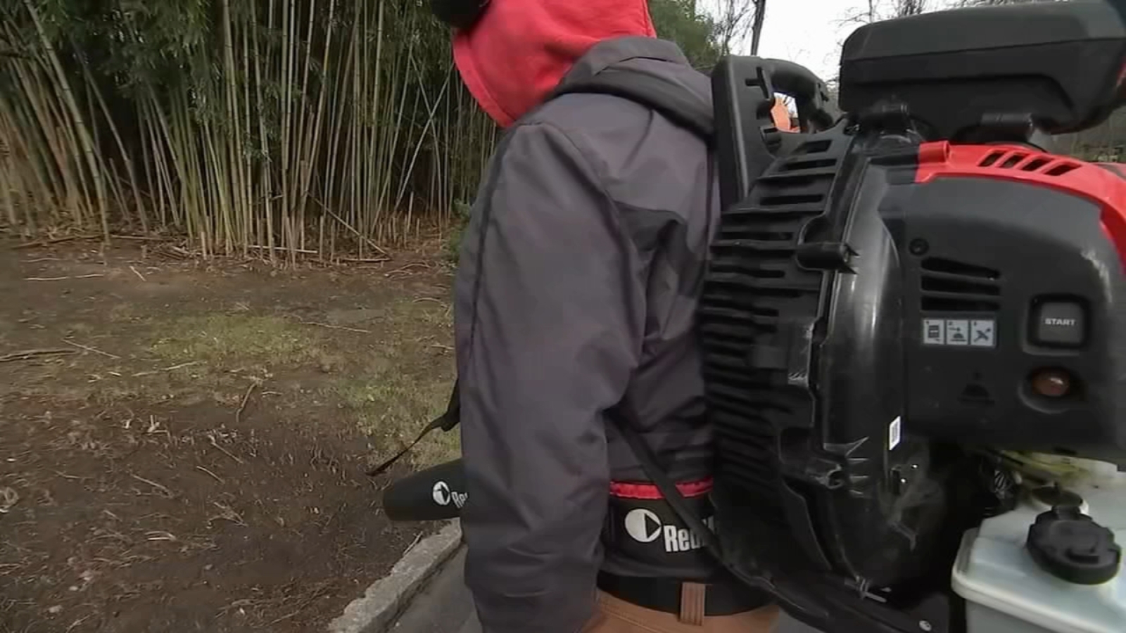 Seasonal gas-powered leaf blower ban goes into effect in Lower Merion ...