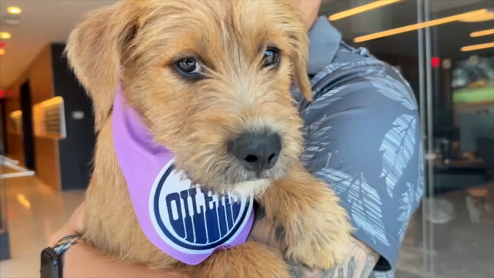 2026 Stanley Pup to feature adoptable dogs form Brandywine Valley SPCA ...