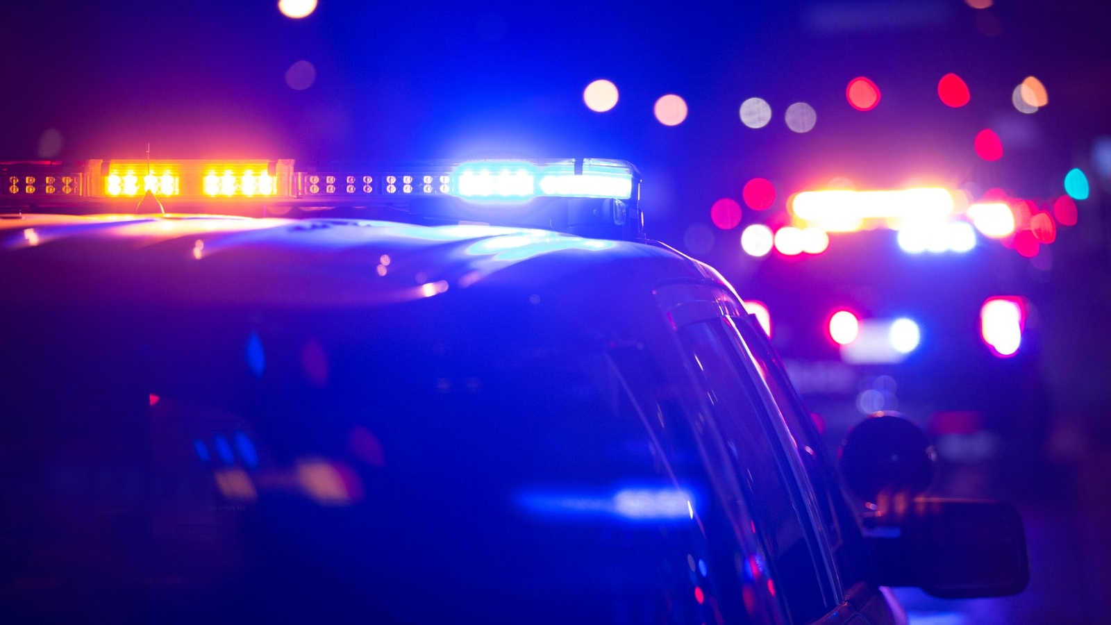 Deer falls from Garden State Parkway overpass in NJ, trapping driver ...