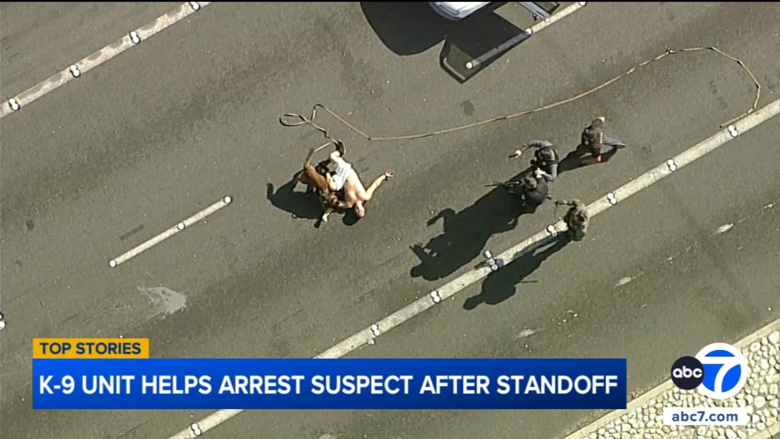 K-9 takes down suspect after chase leads to standoff on street in ...