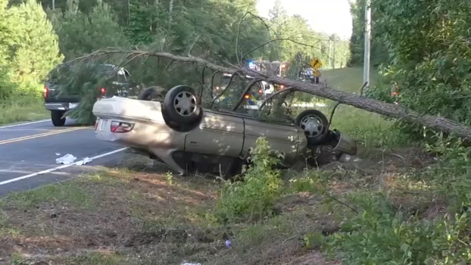 Driver killed after car flips, strikes tree in Cumberland County ...