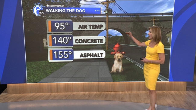 Heat Health Emergency issued amid record-breaking temps in Philadelphia ...