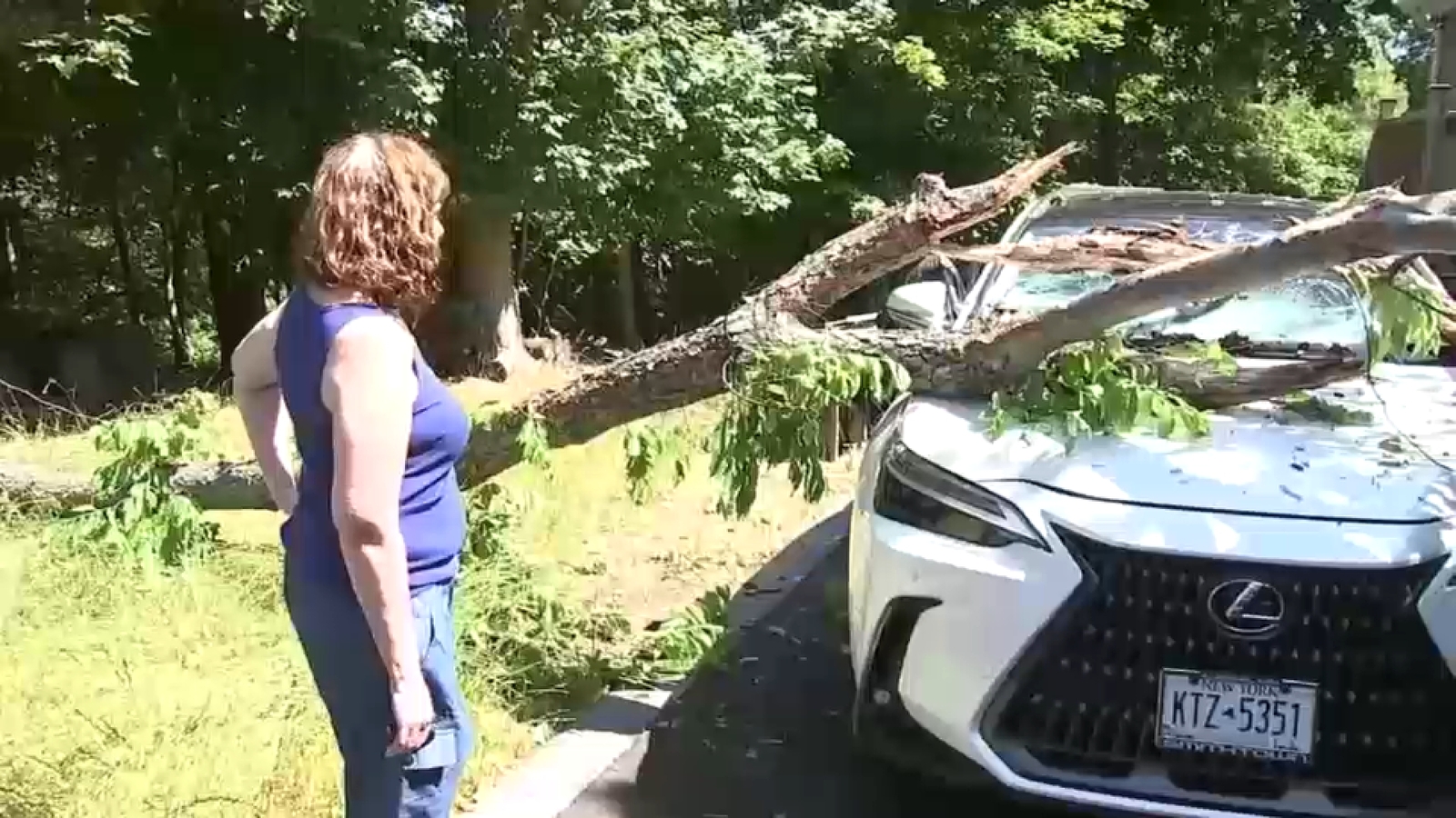 Long Island storm damage: Cleanup underway after severe weather causes ...