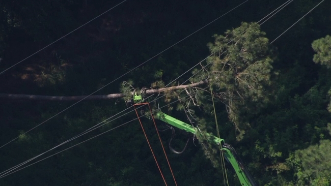Thousands regain power after tree knocks out electricity for Durham ...