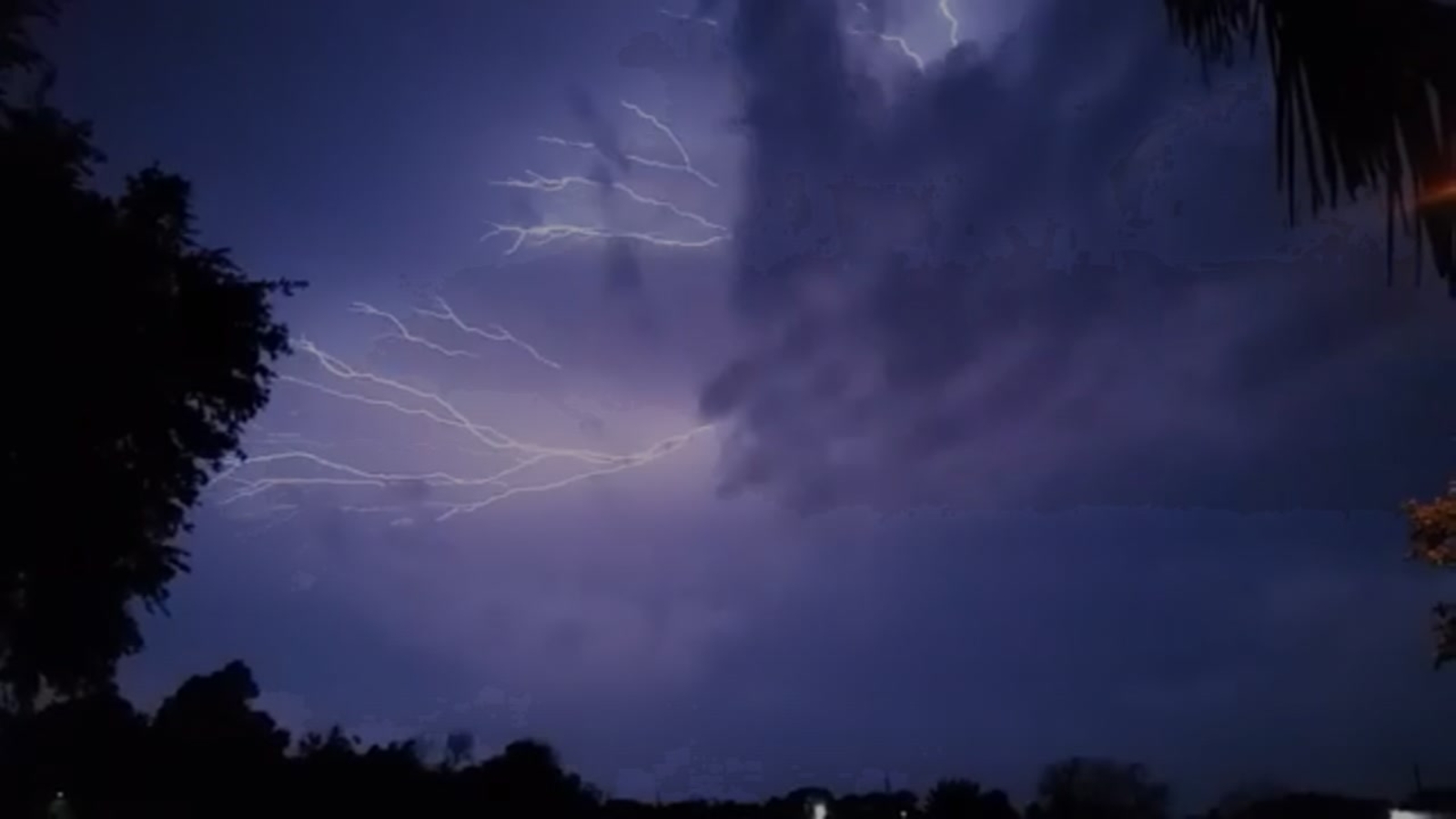 Strong storms and heavy winds topple trees in Houston - ABC13 Houston