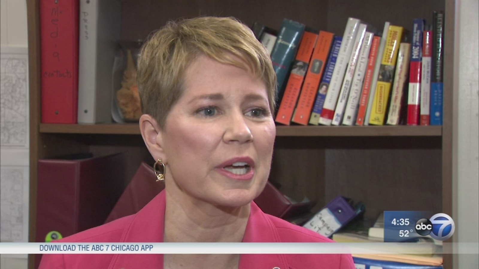 Dem. Kelly Mazeski challenging Roskam with healthcare focus - ABC7 Chicago