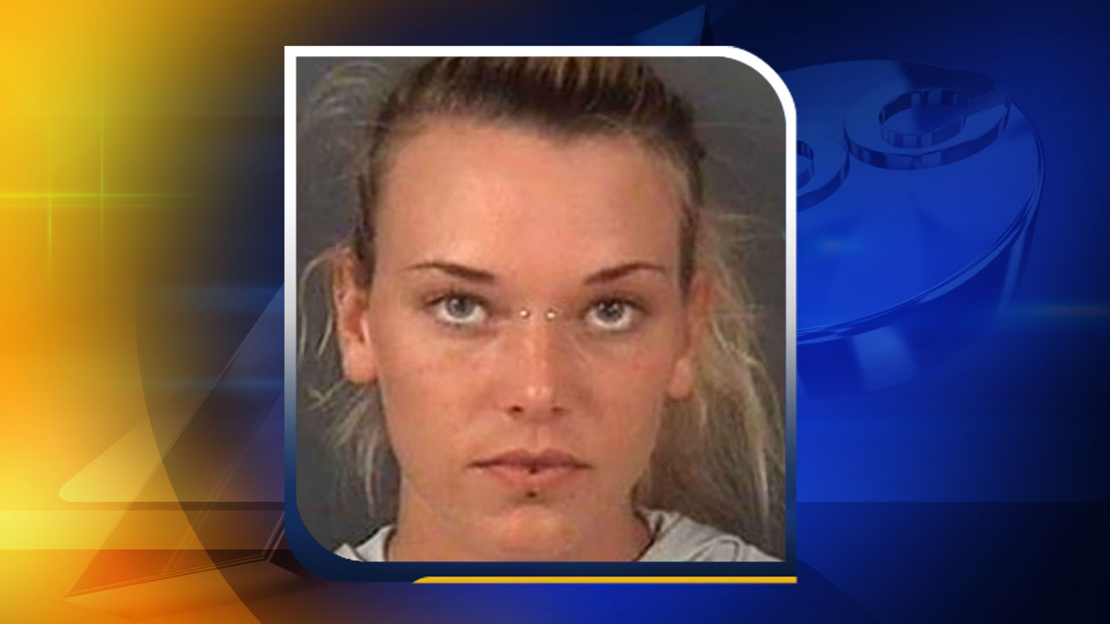 Police investigating possible suicide of ex-soldier charged with ...