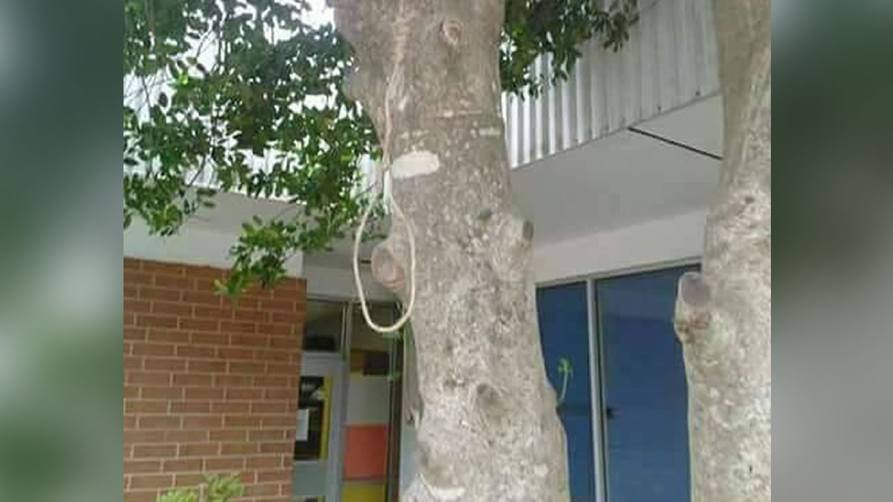 Noose On Tree
