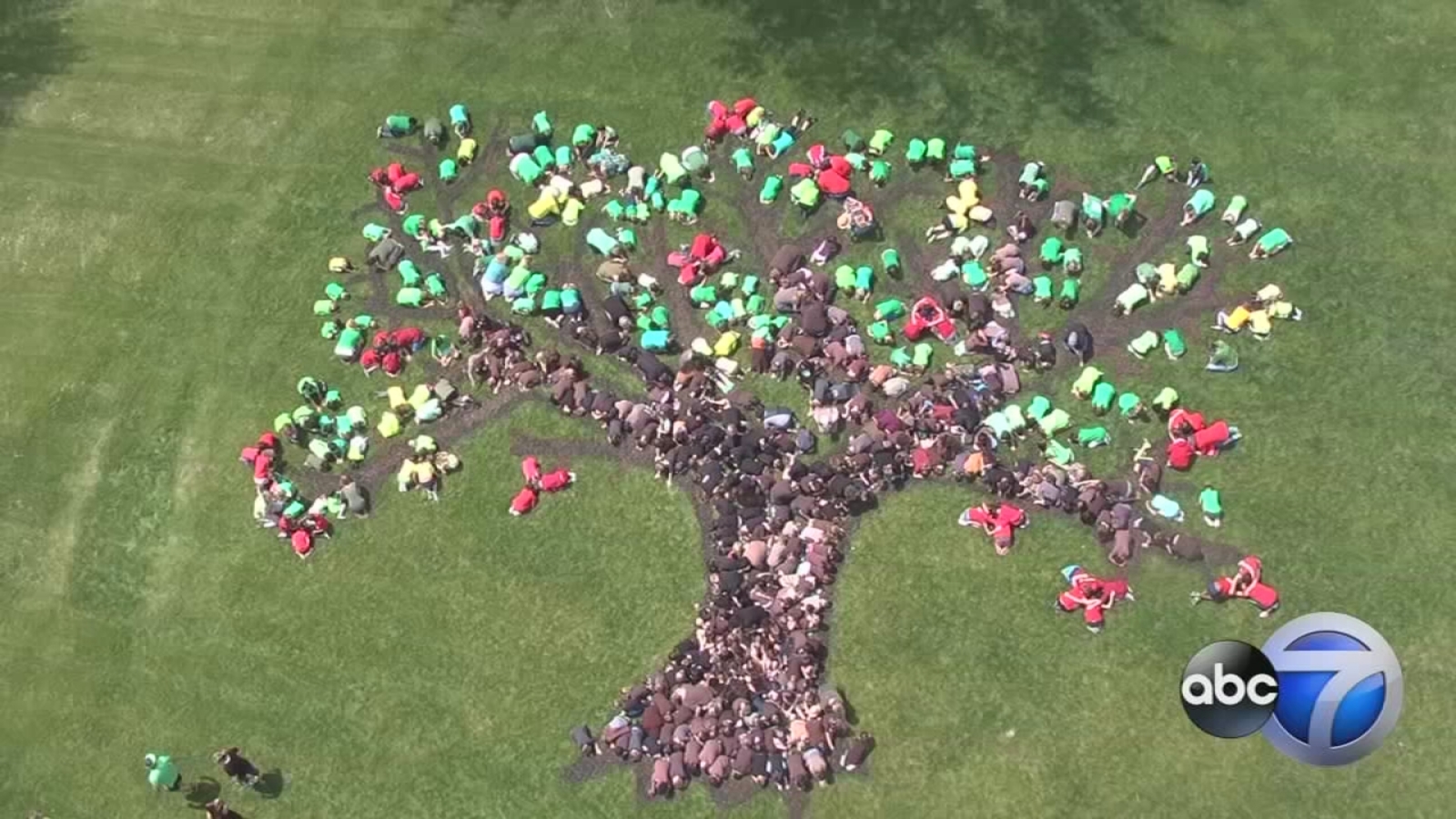 Darien students help bring artist Daniel Dancer's vision to life - ABC7 ...