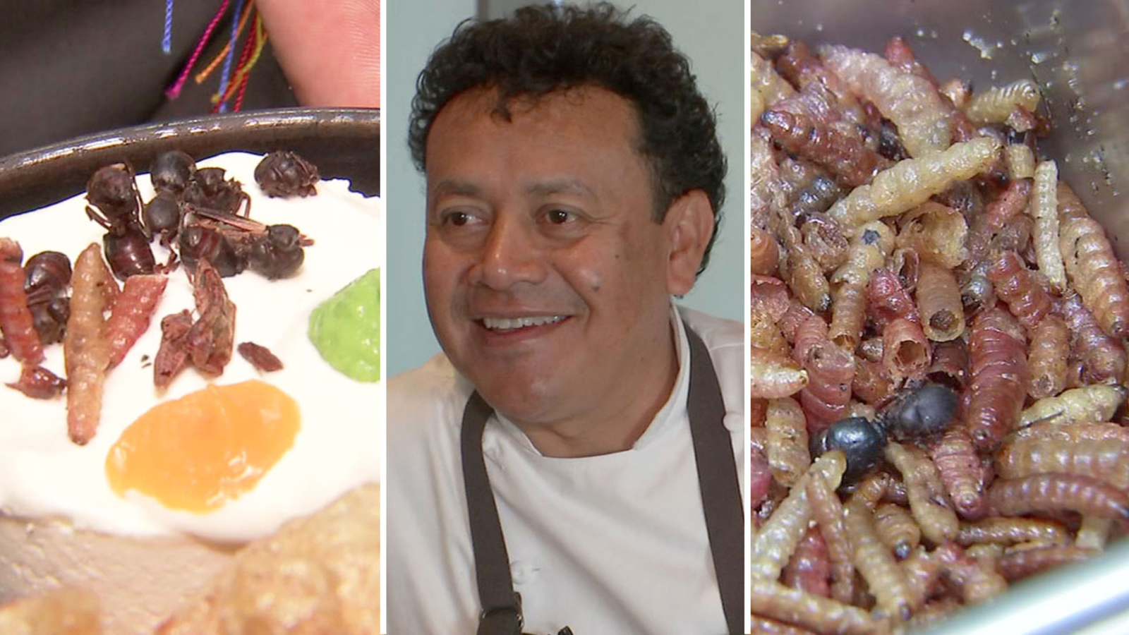 Award-winning chef serves creepy crawlies at Xochi in Houston - ABC13 ...