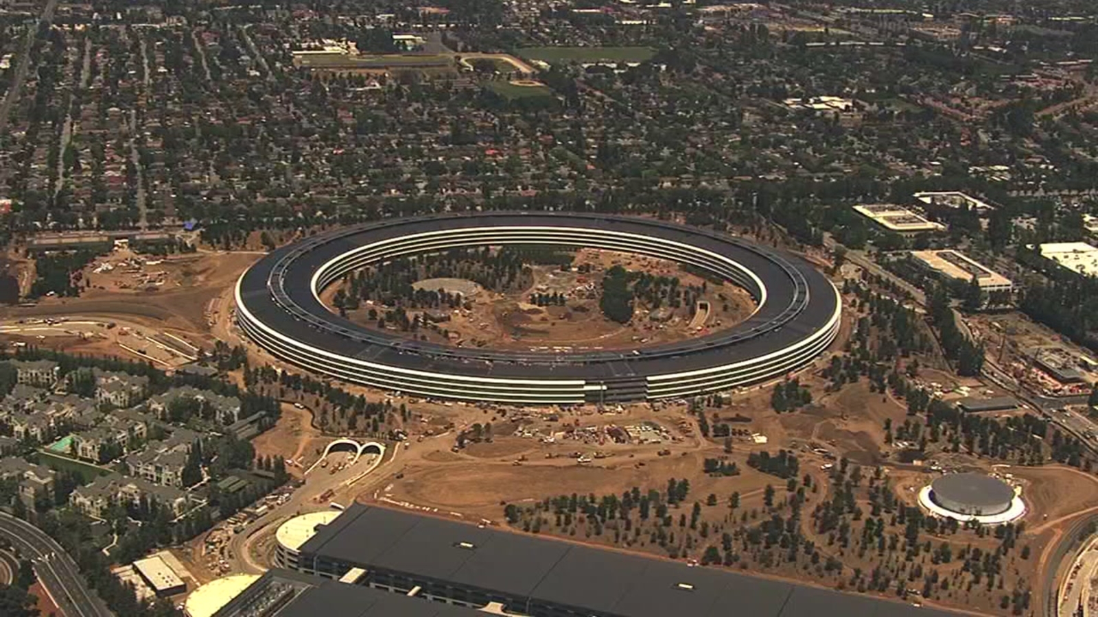 Cupertino Apple