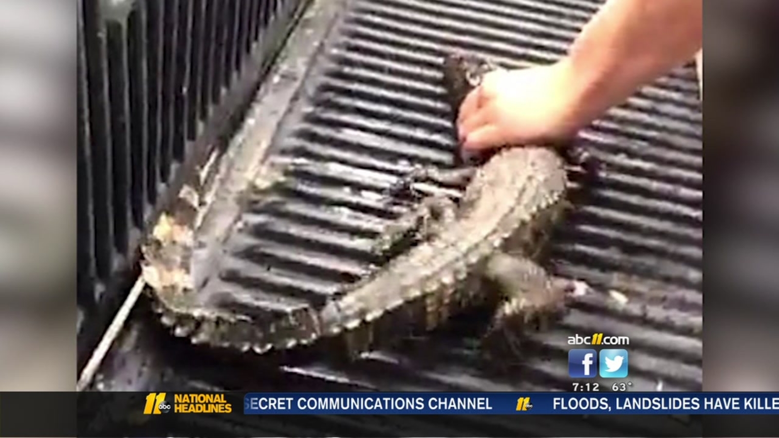 2 Men Arrested After Forcing Alligator To Drink Beer Abc11 Raleigh Durham
