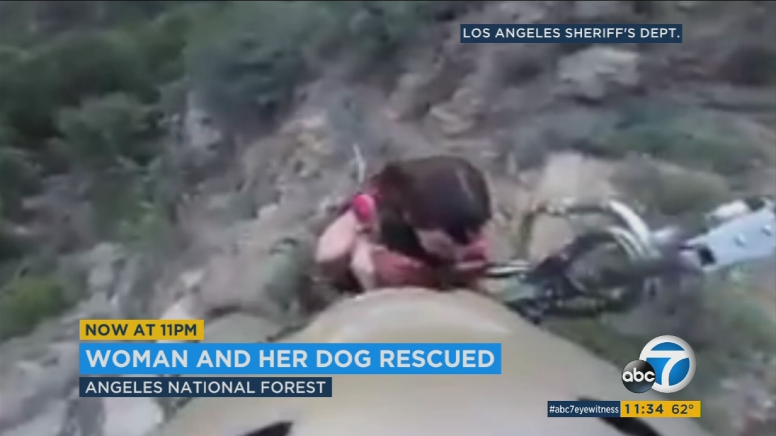 LASD rescues woman and her dog from Bear Canyon Cliff - ABC7 Los Angeles