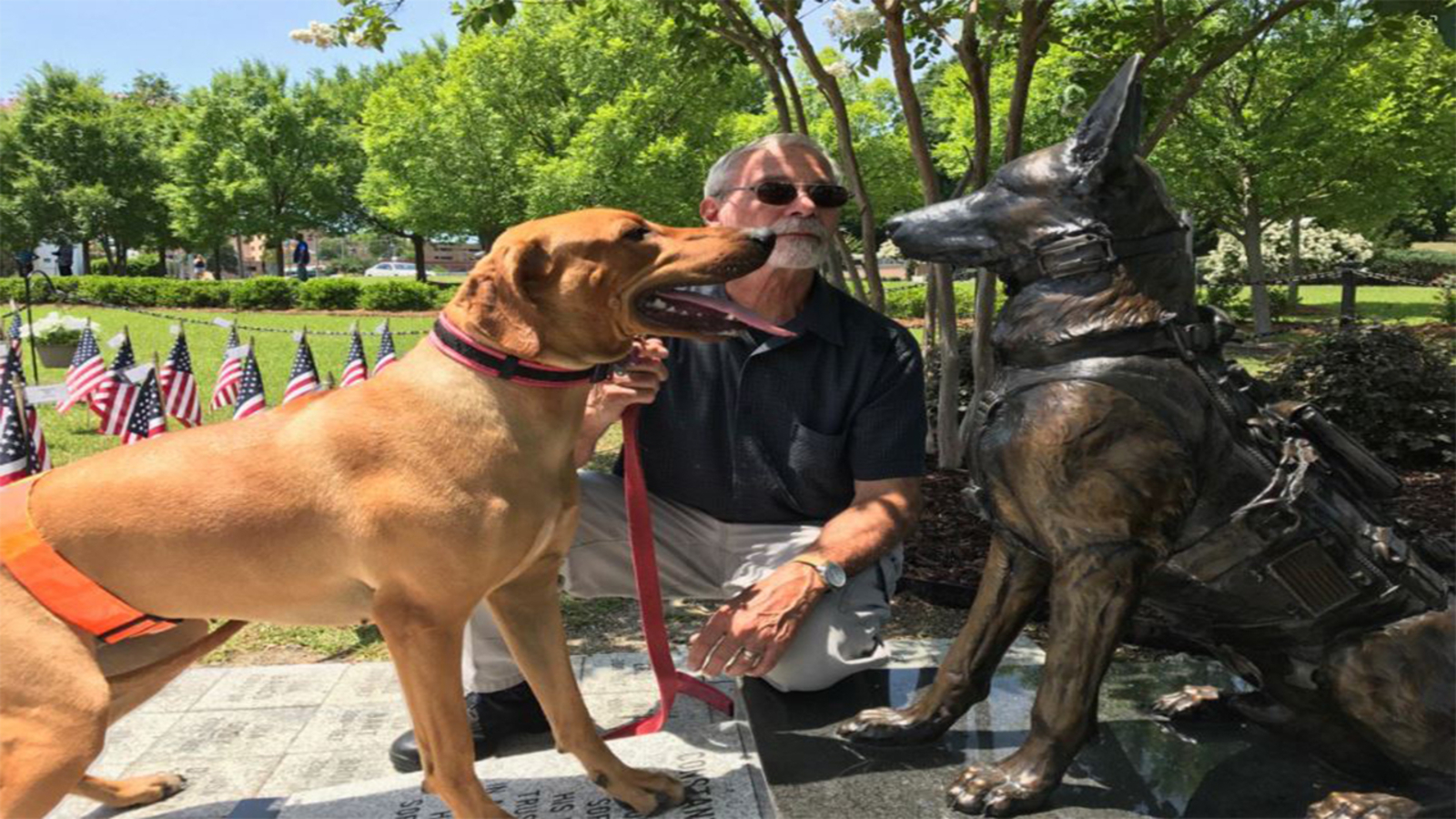 Fayetteville honors fallen K-9 soldiers - ABC11 Raleigh-Durham