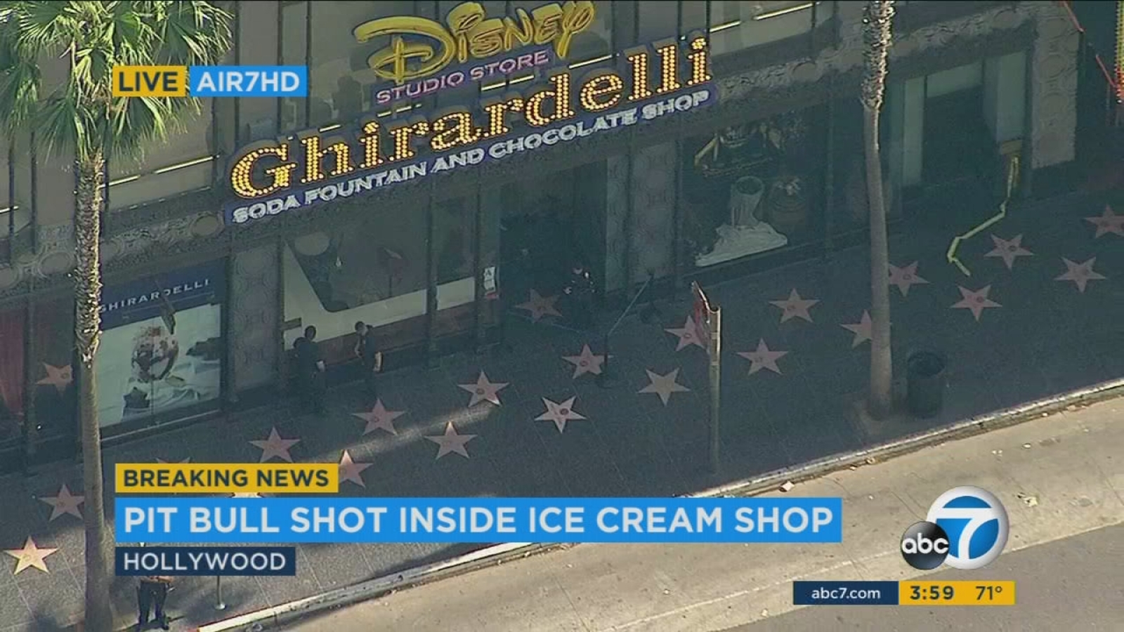 Pit bull shot by off-duty officers near Ghirardelli shop in Hollywood ...