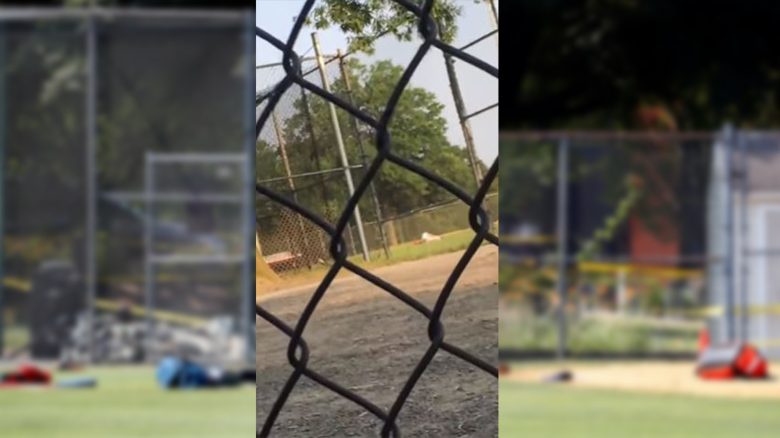 CAUGHT ON CAMERA: 5 minutes of terror at baseball field in Alexandria ...