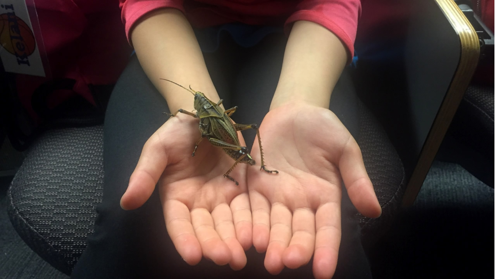Students take part in UCSF's hands-on science summer camp - ABC7 San ...