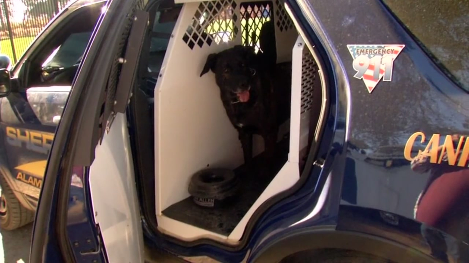 Alameda County police take steps to protect K-9 officers during heat ...