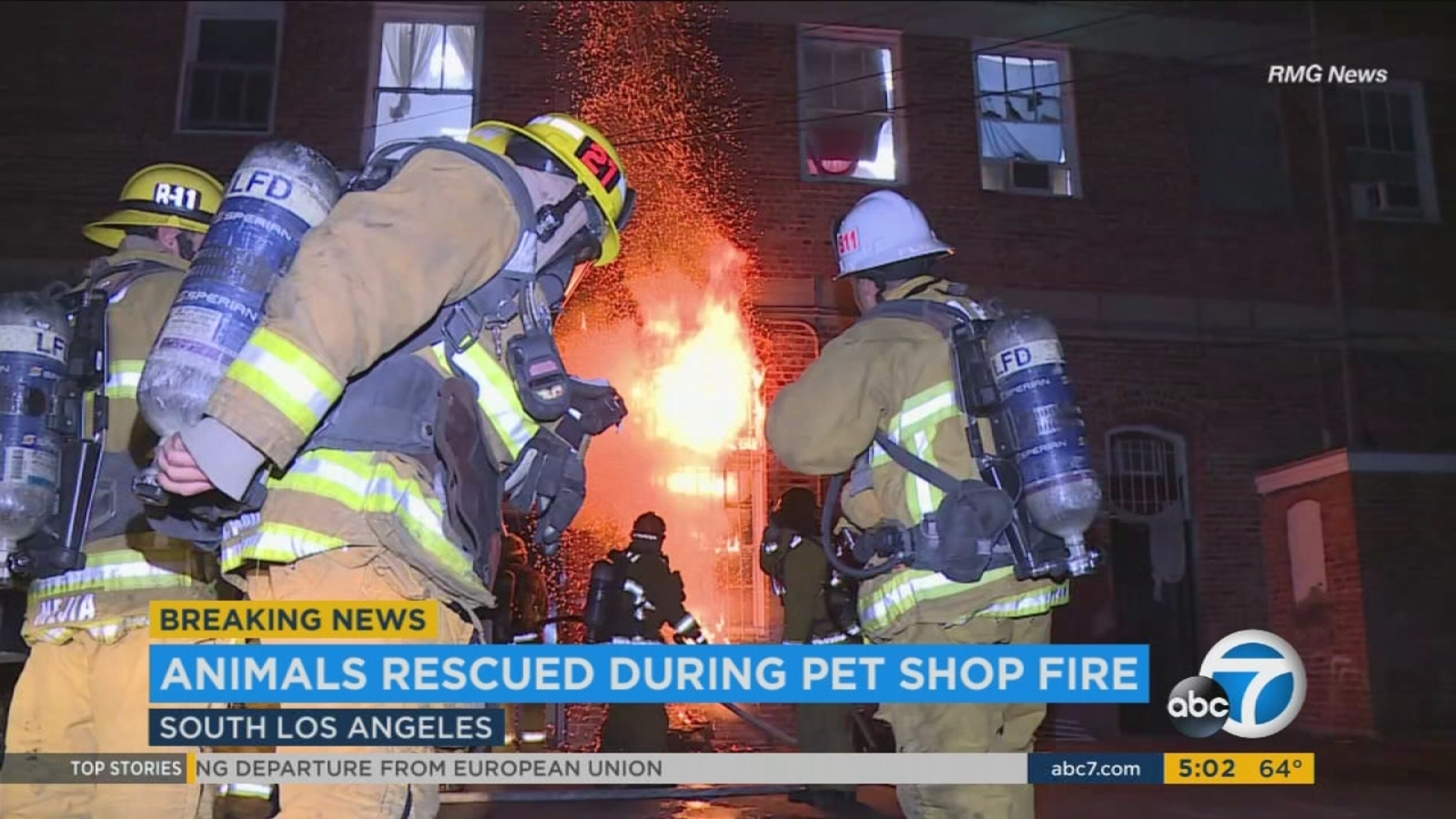 Dozens of animals rescued after fire at pet store in South Los Angeles ...
