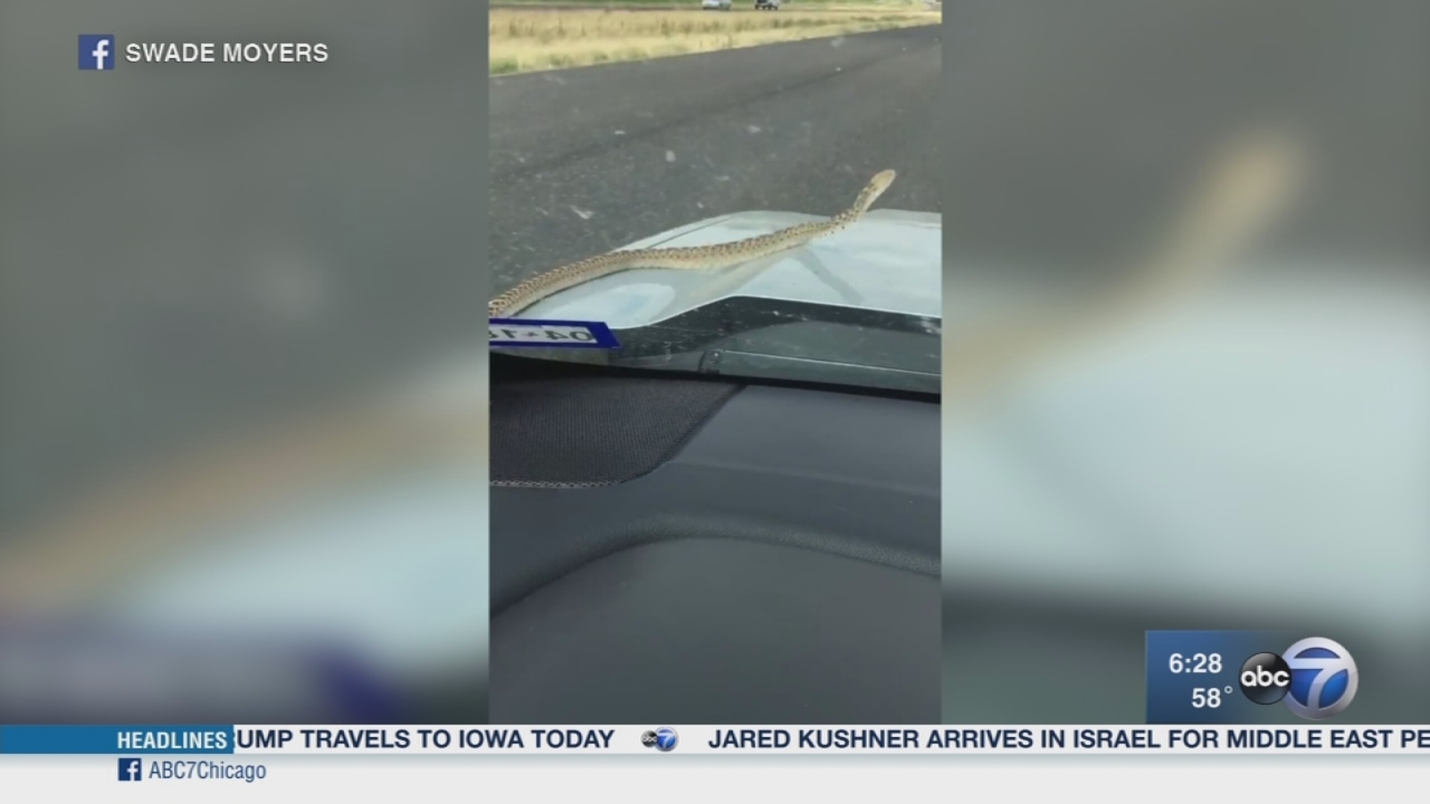 Snake surprises drivers by crawling out from under truck hood - ABC7 ...