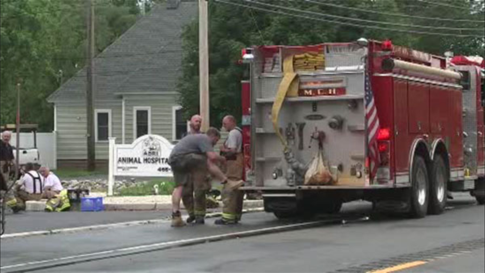 Firefighters save animals from blaze in Cape May County - 6abc Philadelphia