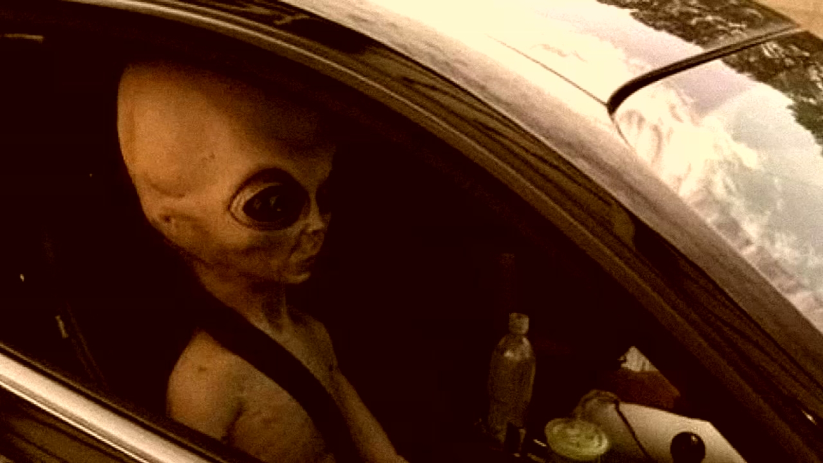 'Alien' passenger discovered in car pulled over for speeding - ABC7 New ...
