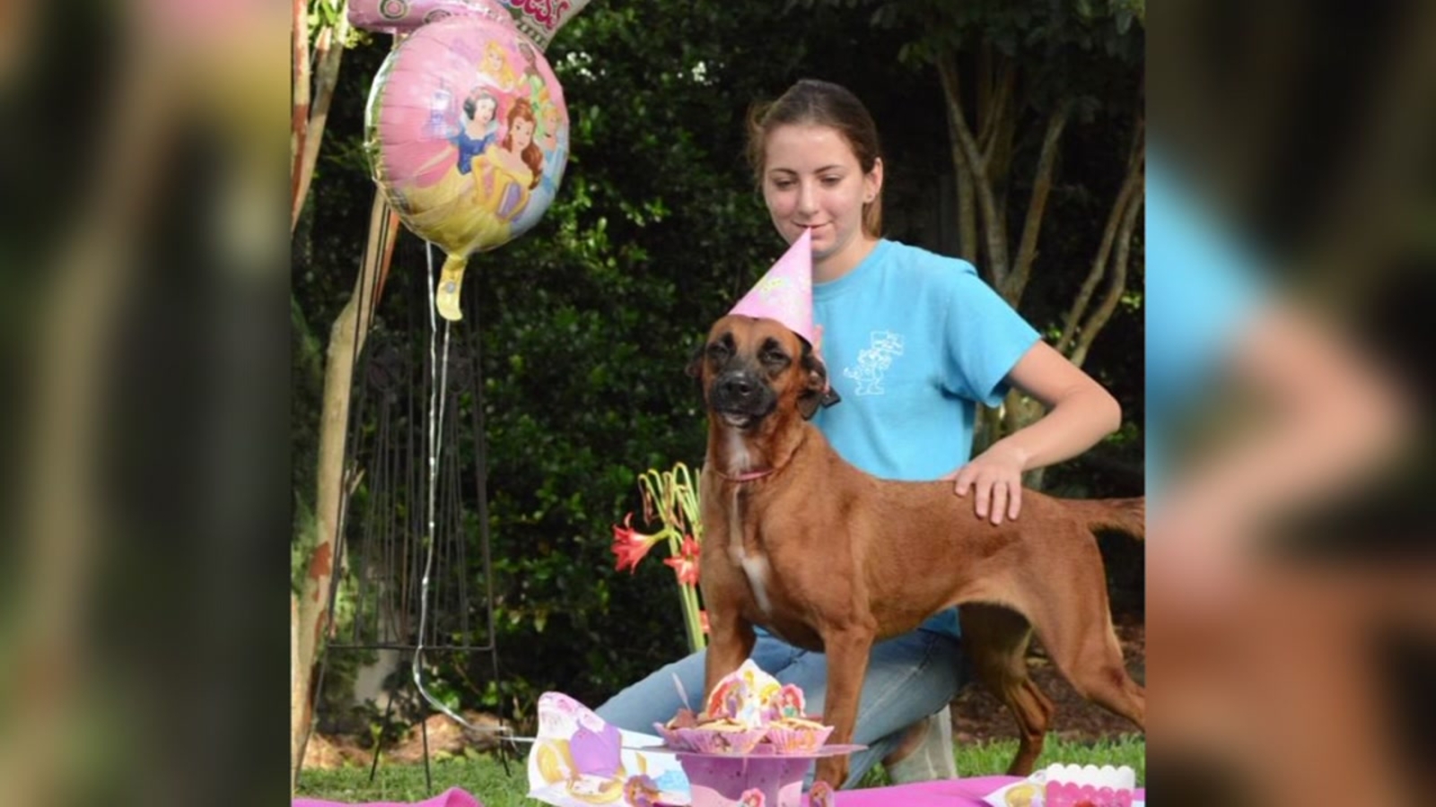 Houston Humane Society throws birthday party fit for a Disney princess ...
