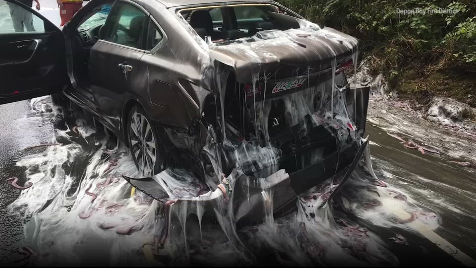 Overturned 'slime eel' truck leaves slime all over Oregon highway ...