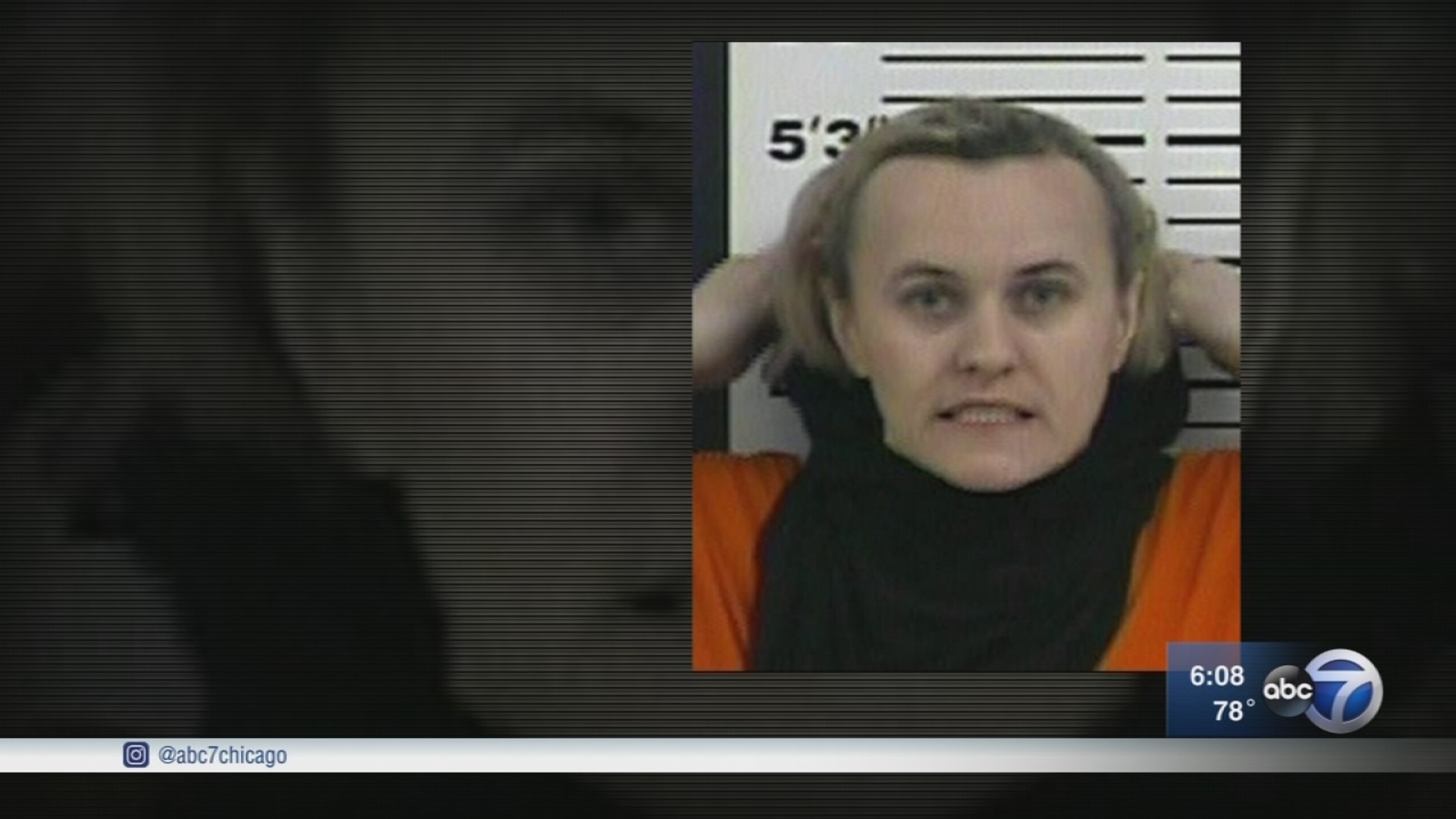 Suburban mom claims 'combatant immunity' in terror case - ABC7 Chicago