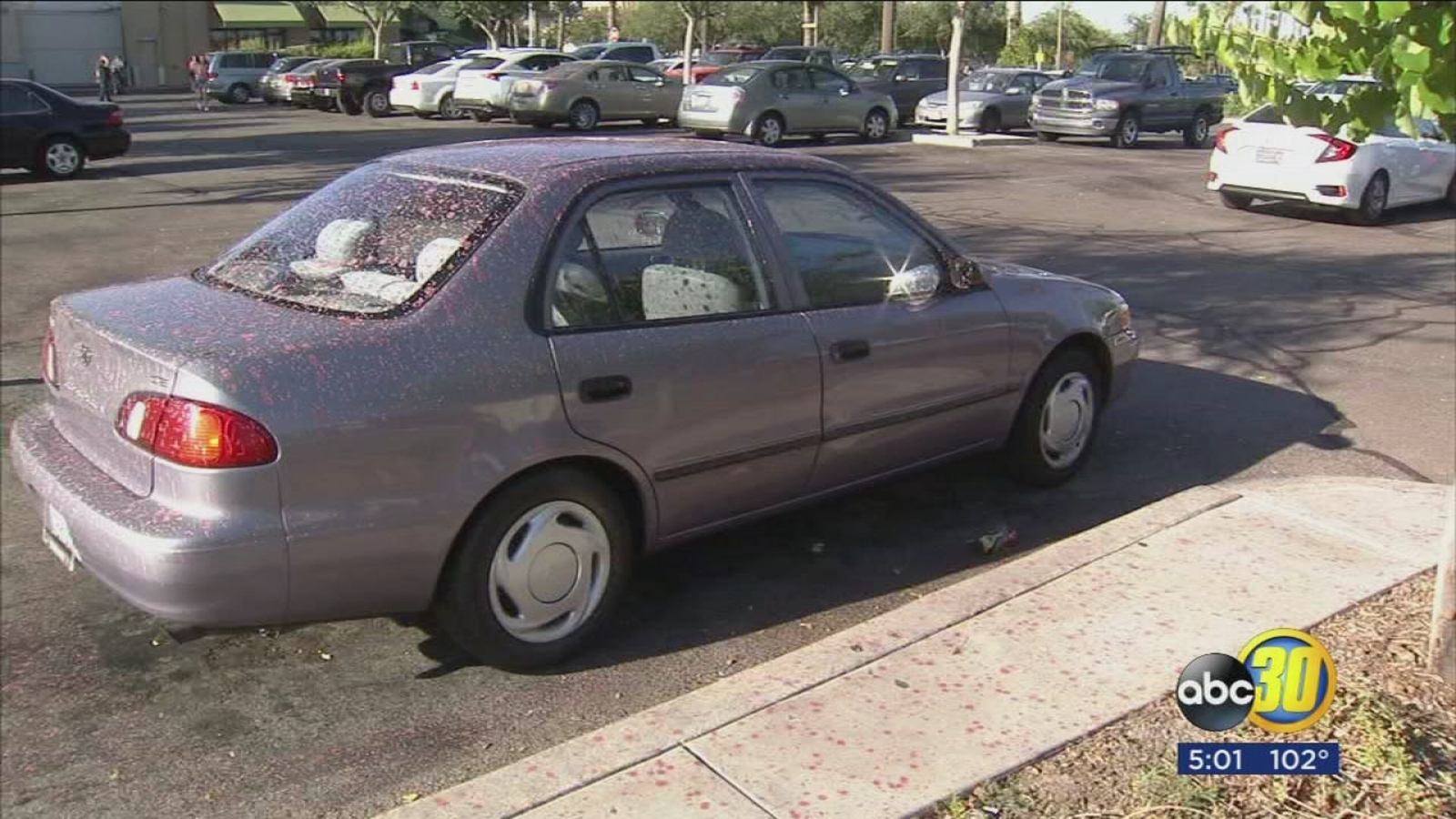 Cal Fire reaches out to businesses affected by accidental fire ...