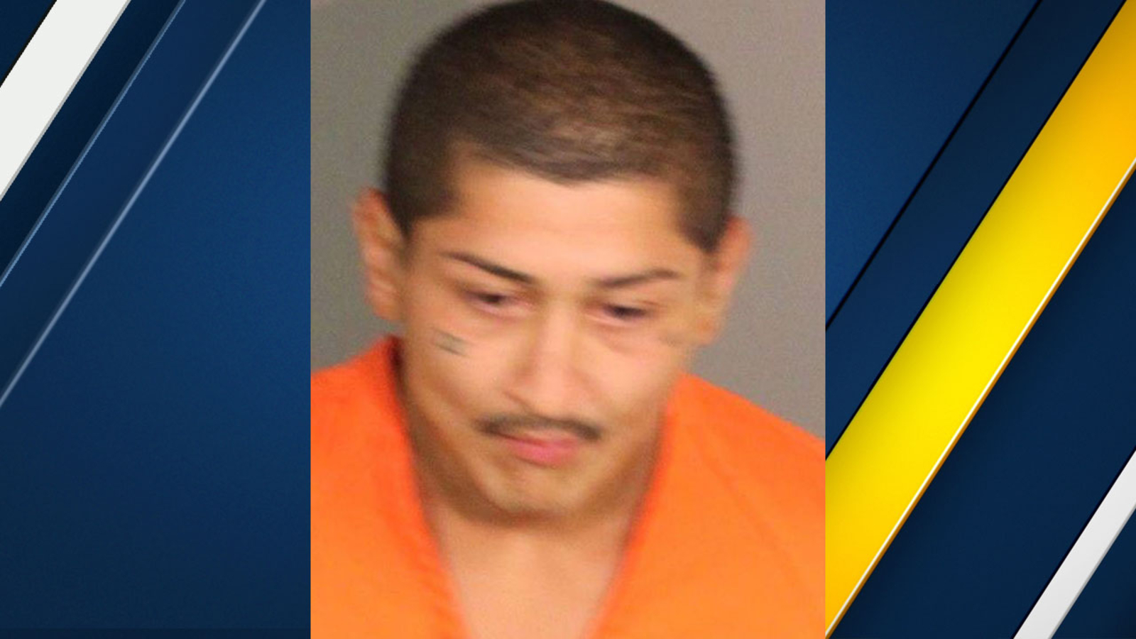 Man breaks into Riverside home, kills dog with machete while fleeing ...