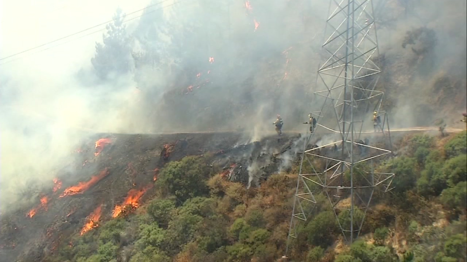 Fire in hills above U.C. Berkeley campus nearly forces officials to cut ...
