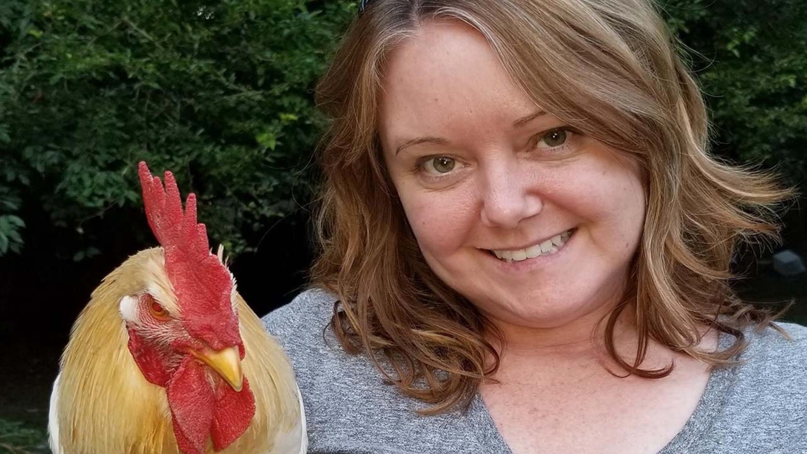 Woman tries to get rid of her 'obnoxious rooster' with hilarious ...